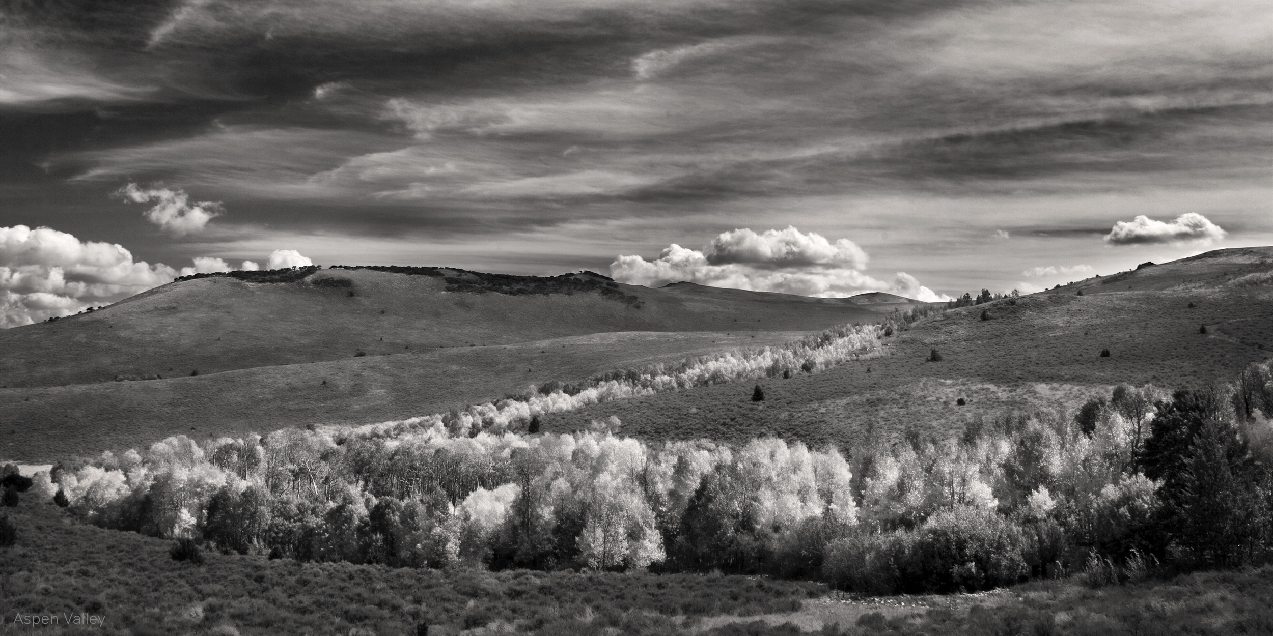 E2 photography all pure black and white fine art photographs by Will ...